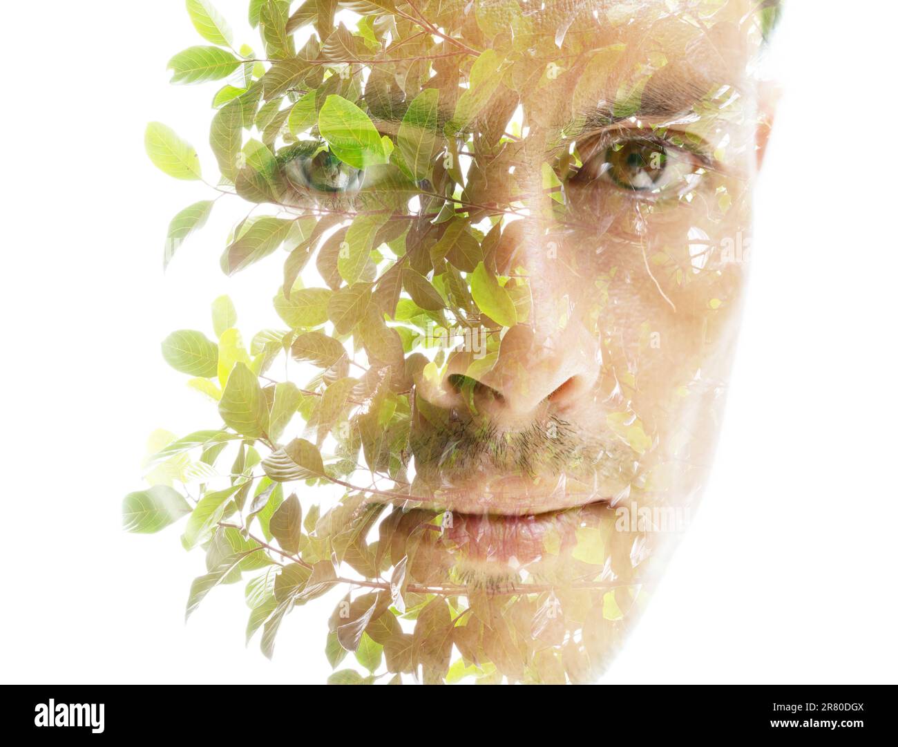 A double exposure portrait of a man's face with green leaves and ...