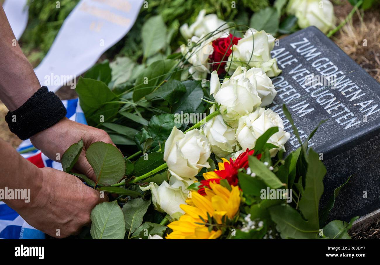 18 June 2023, Brandenburg, Oranienburg: A man lays white roses on a ...