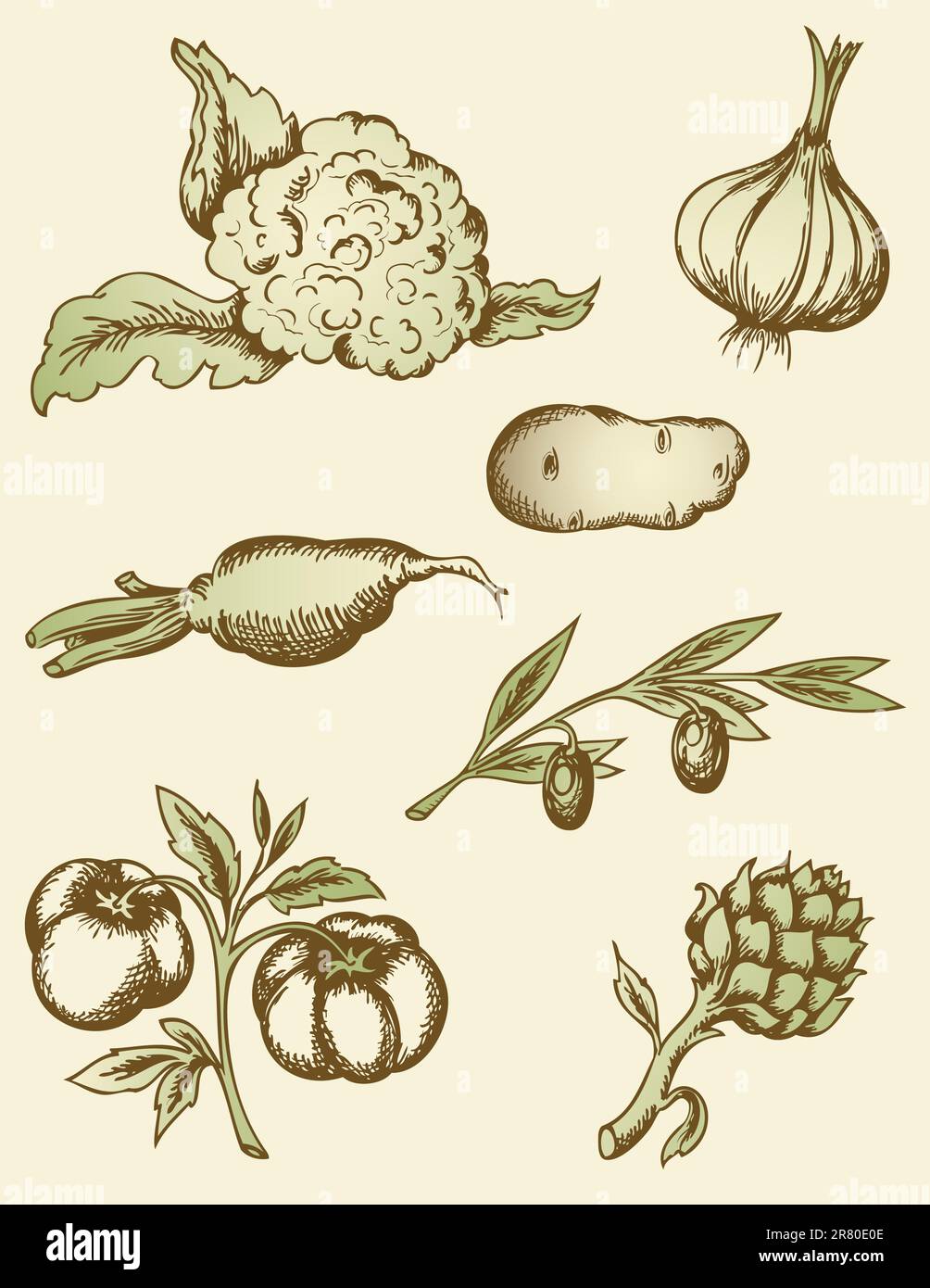 Vector hand drawn vintage vegetables Stock Vector Image & Art - Alamy