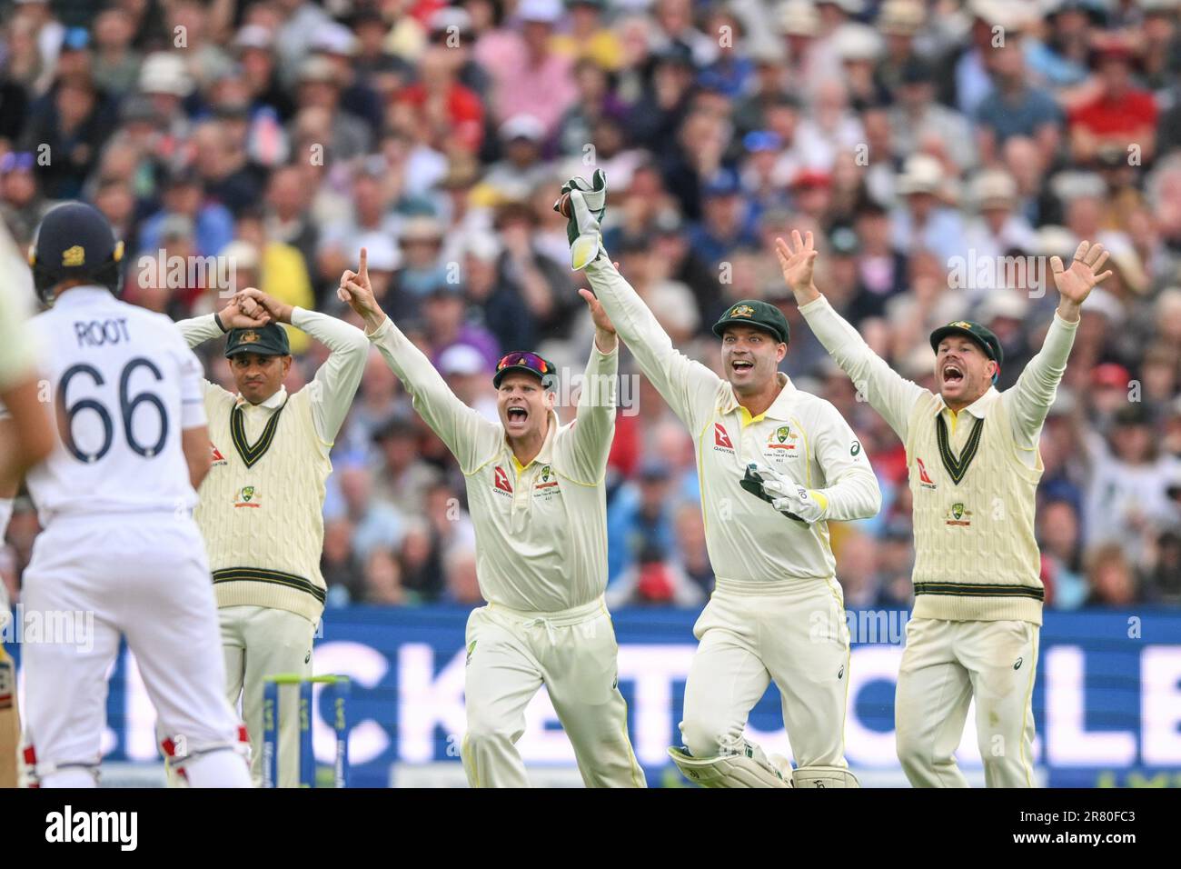 The Australian team appeal to the umpire during the LV= Insurance Ashes ...
