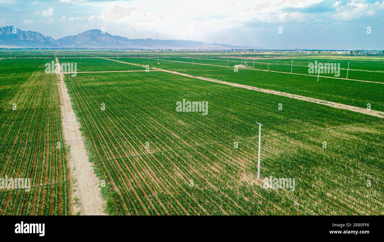 Bayannur chinas inner mongolia autonomous hi-res stock photography and ...