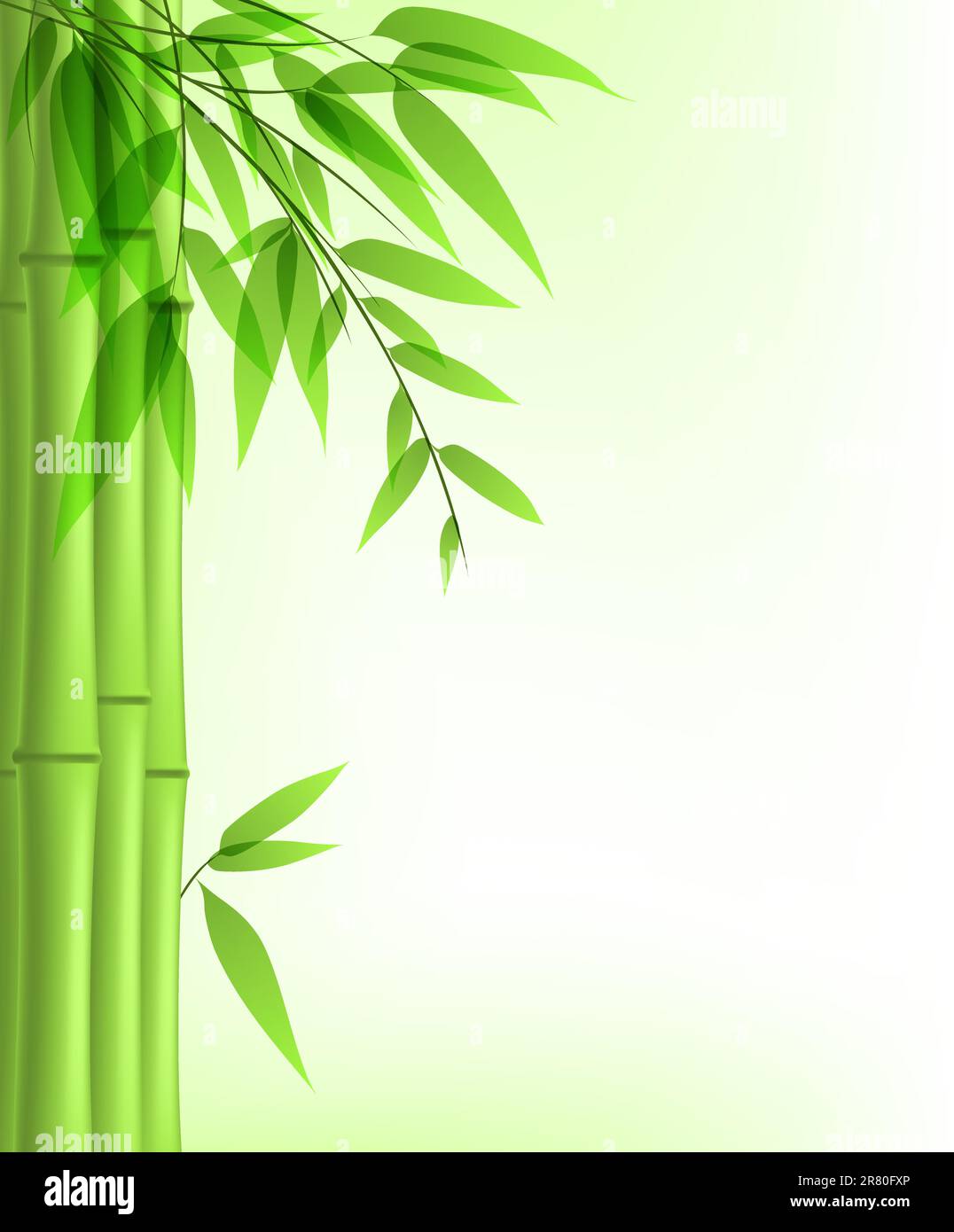 Vector background with green bamboo Stock Vector Image & Art - Alamy