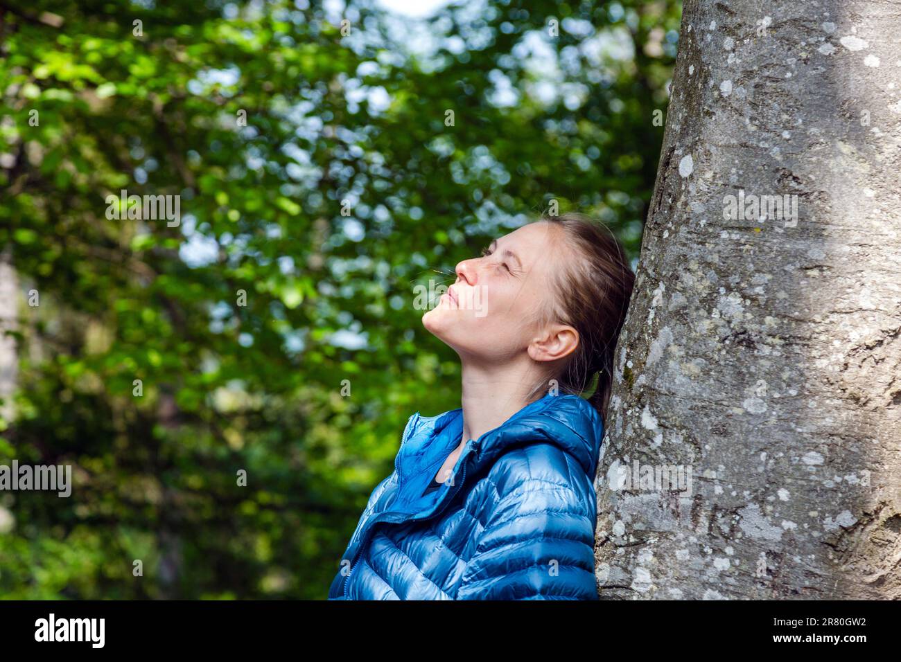 Casual clothing, one person looking up, plant and tree Stock Photo - Alamy