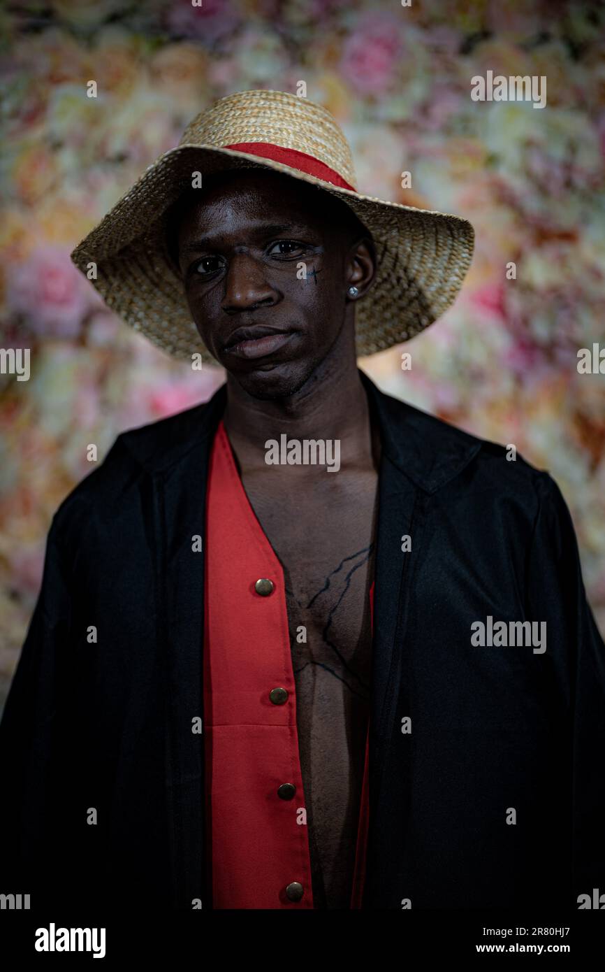 Luffy one piece hi-res stock photography and images - Alamy