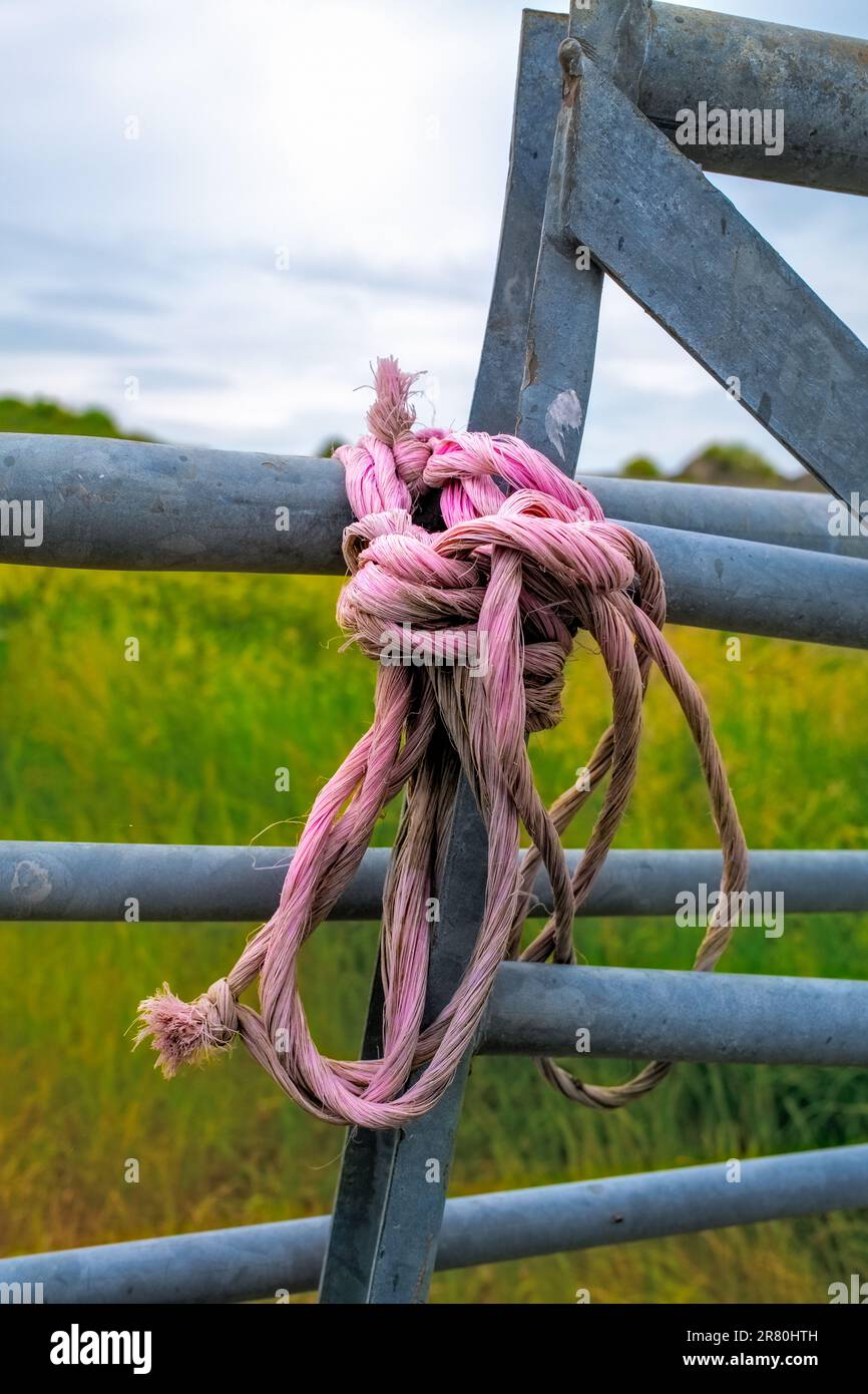Rope tied to metal fence for added security and strength. concept of ...