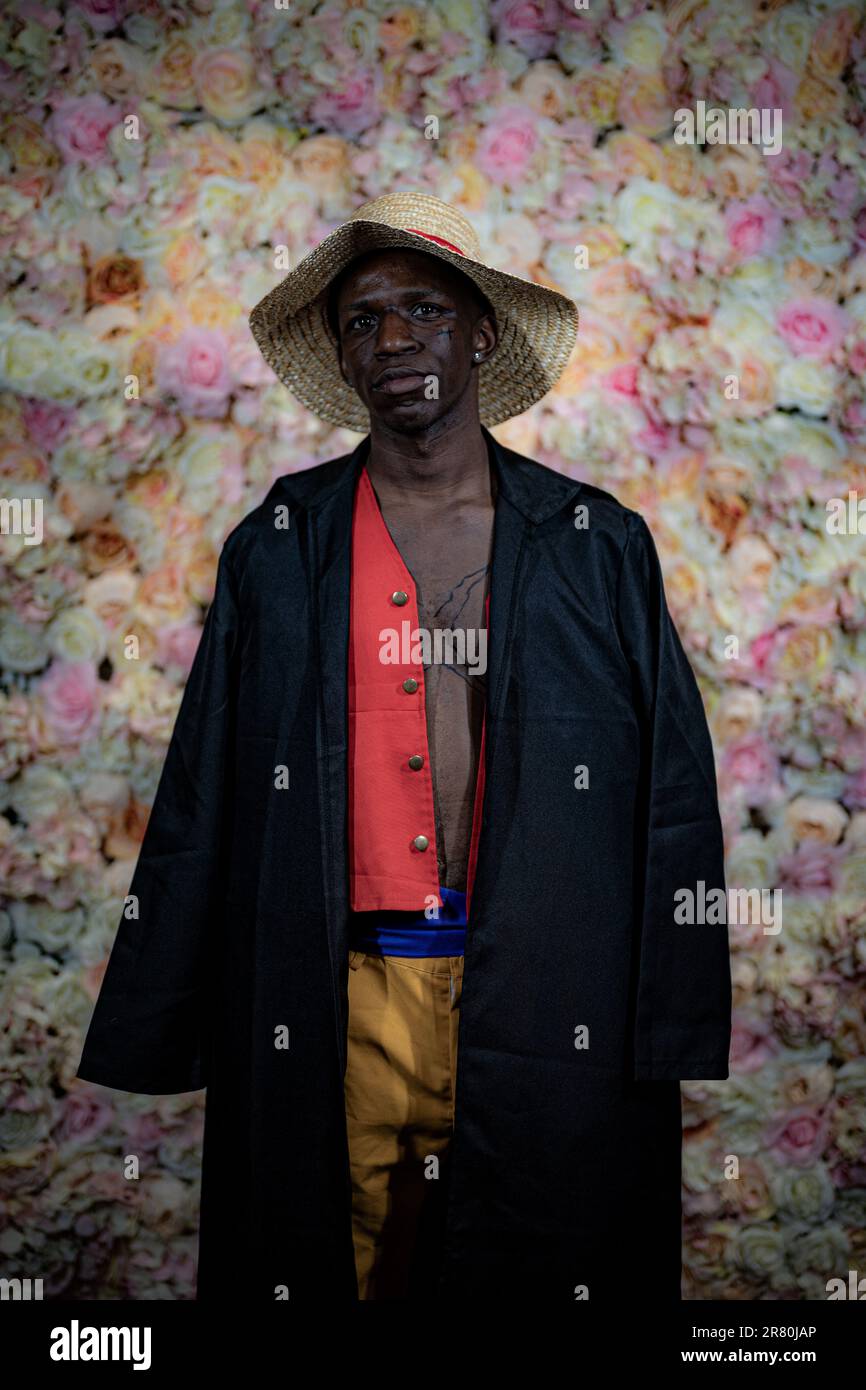 Luffy one piece hi-res stock photography and images - Alamy