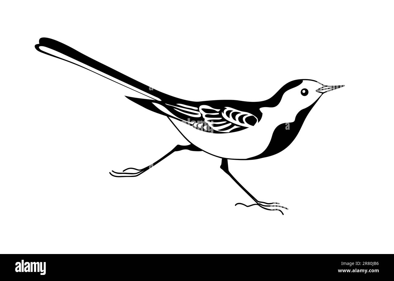 wagtail silhouette on white background, vector illustration Stock ...