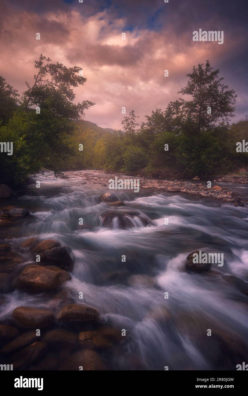 River Water Flow Between beautiful Forest Trees Stock Photo - Alamy