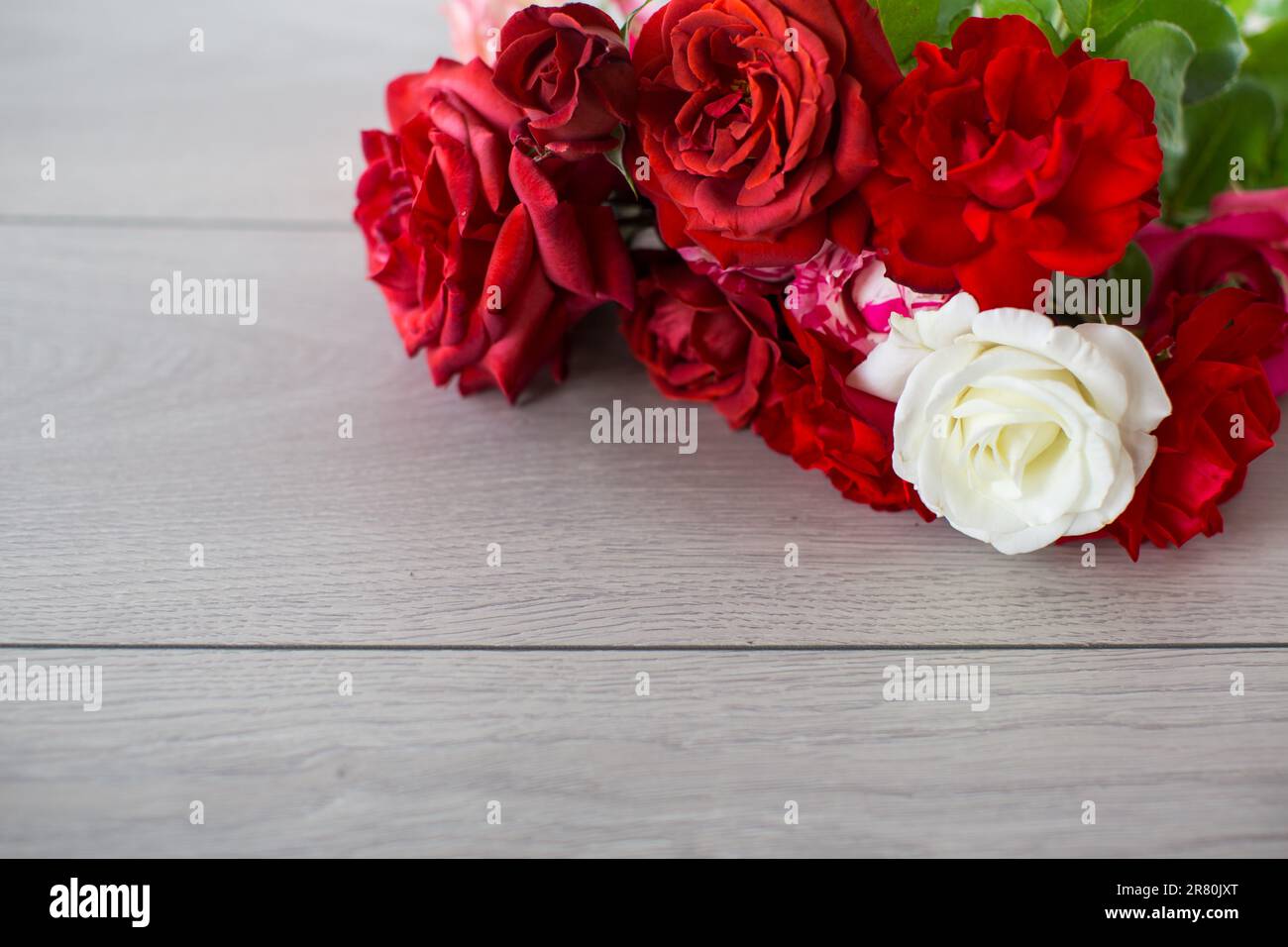 Floral background of pink, red and other roses Stock Photo - Alamy