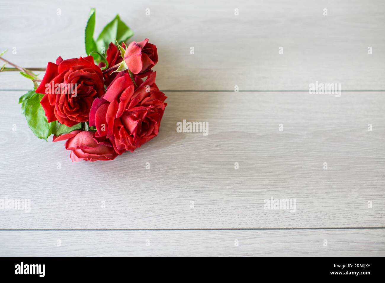 Floral background of pink, red and other roses Stock Photo - Alamy