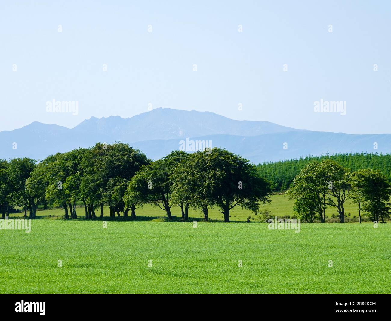 Lush grass, rolling hills of the Isle of Bute, shadowed by the ...