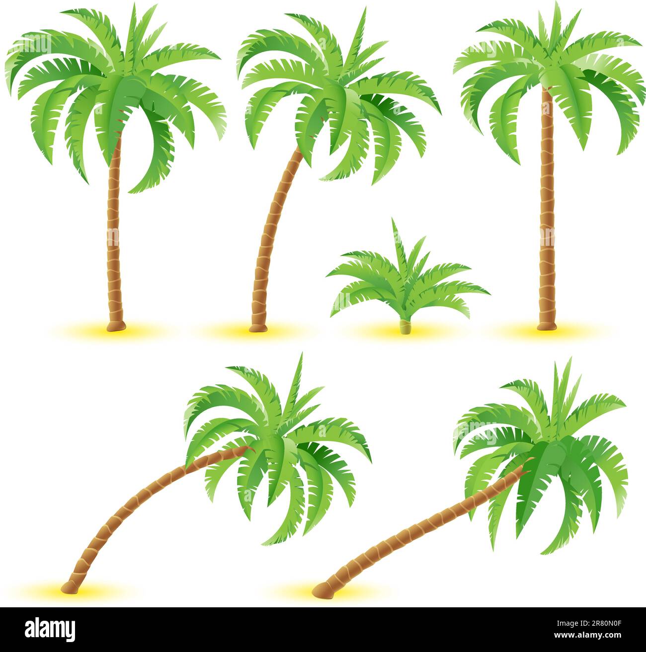 Coconut palms. Illustration on white background for design Stock Vector ...