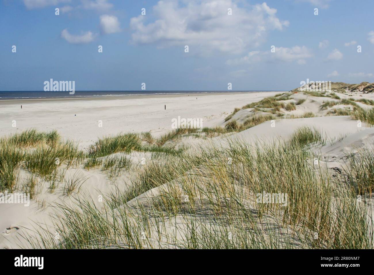 Landscape with sand dunes at wadden islands in the Netherlands Stock ...