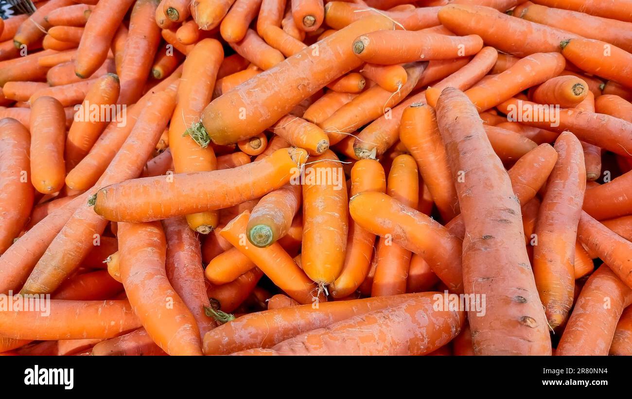 Texture background of fresh large orange carrots. Seamless carrot ...