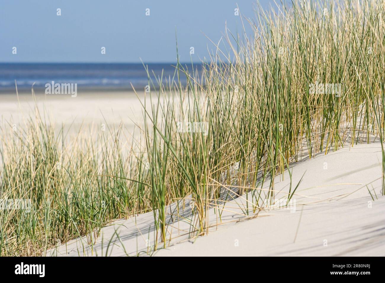 Wadden sea islands holland hi-res stock photography and images - Alamy
