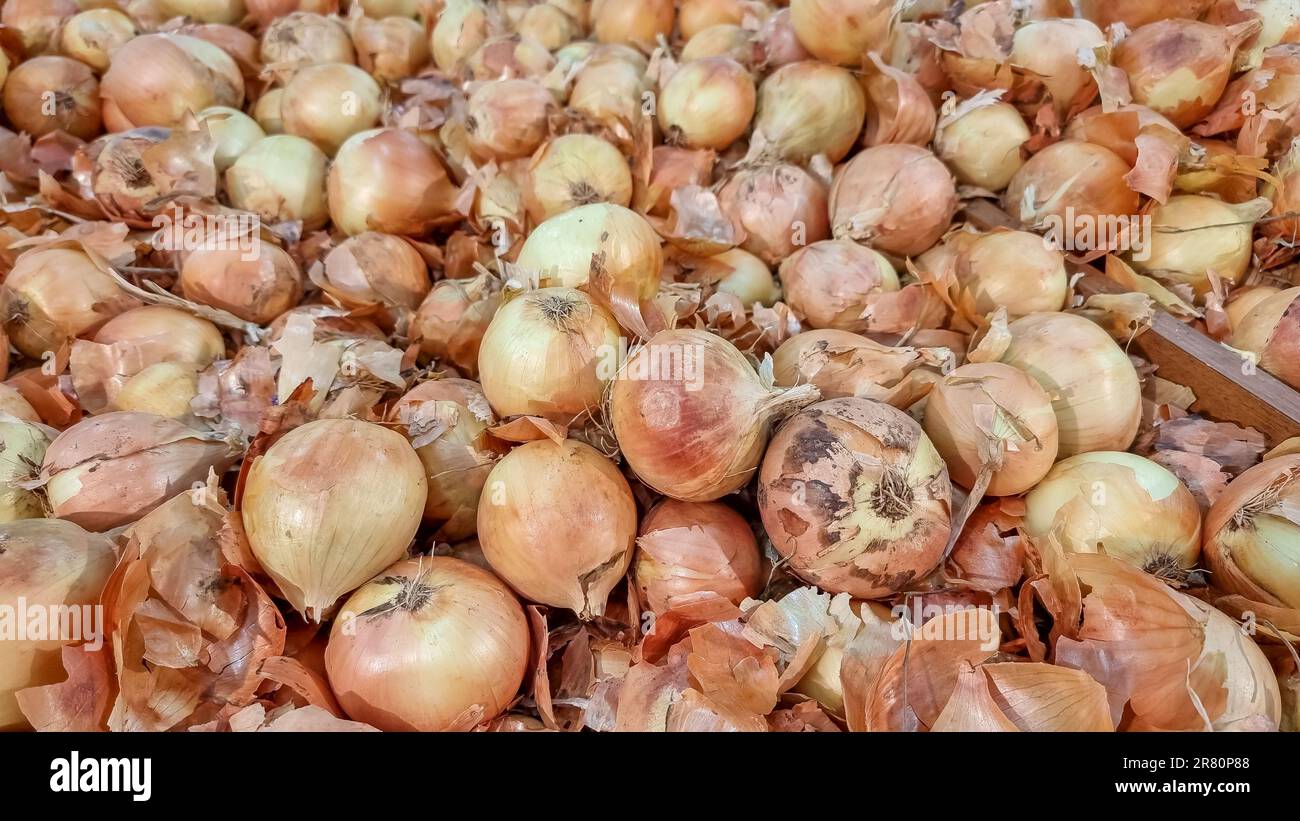Full frame background of various colorful fresh onions placed together ...