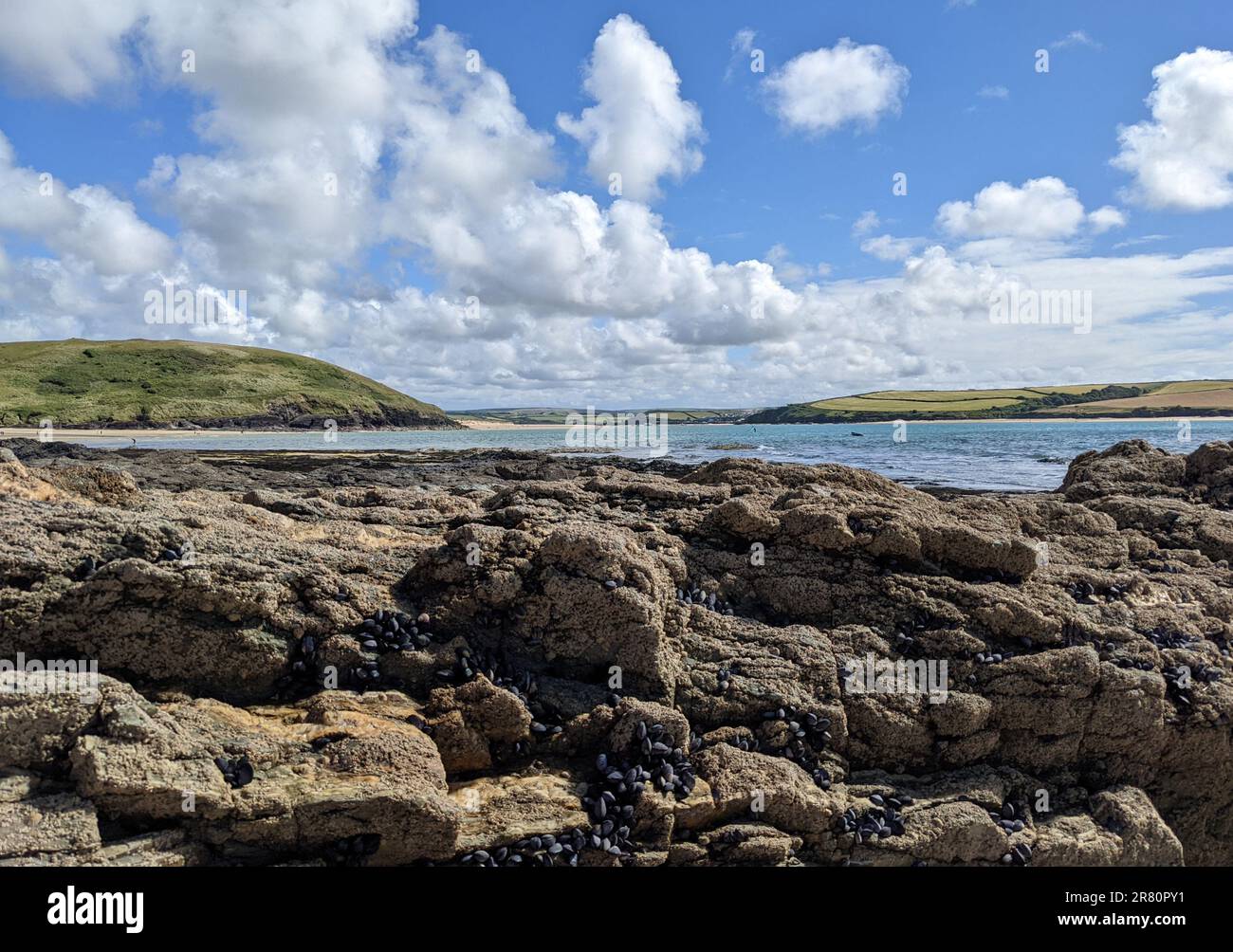 View of the Camel Estuary near Daymer Bay - Cornwall, UK Stock Photo ...