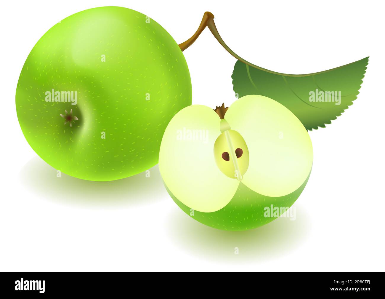 Fresh green apple and slice with green leaf on white background. EPS-10 ...