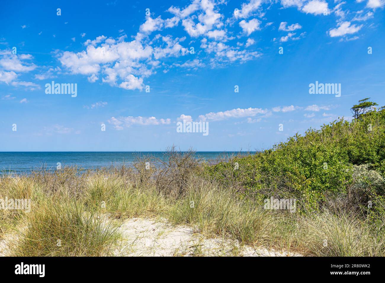 Rosenort travel hi-res stock photography and images - Alamy