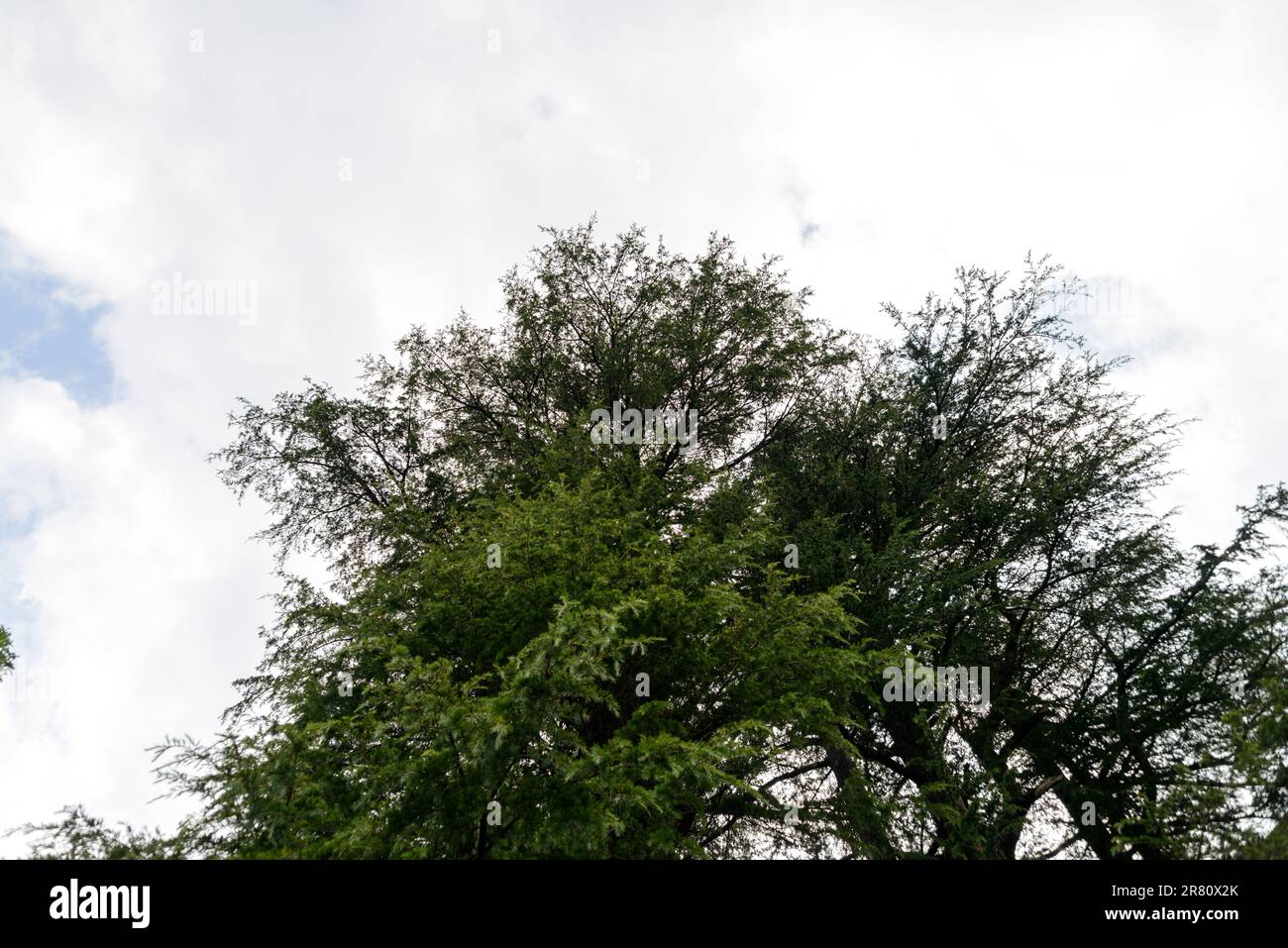 Pakistani landmark hi-res stock photography and images - Alamy