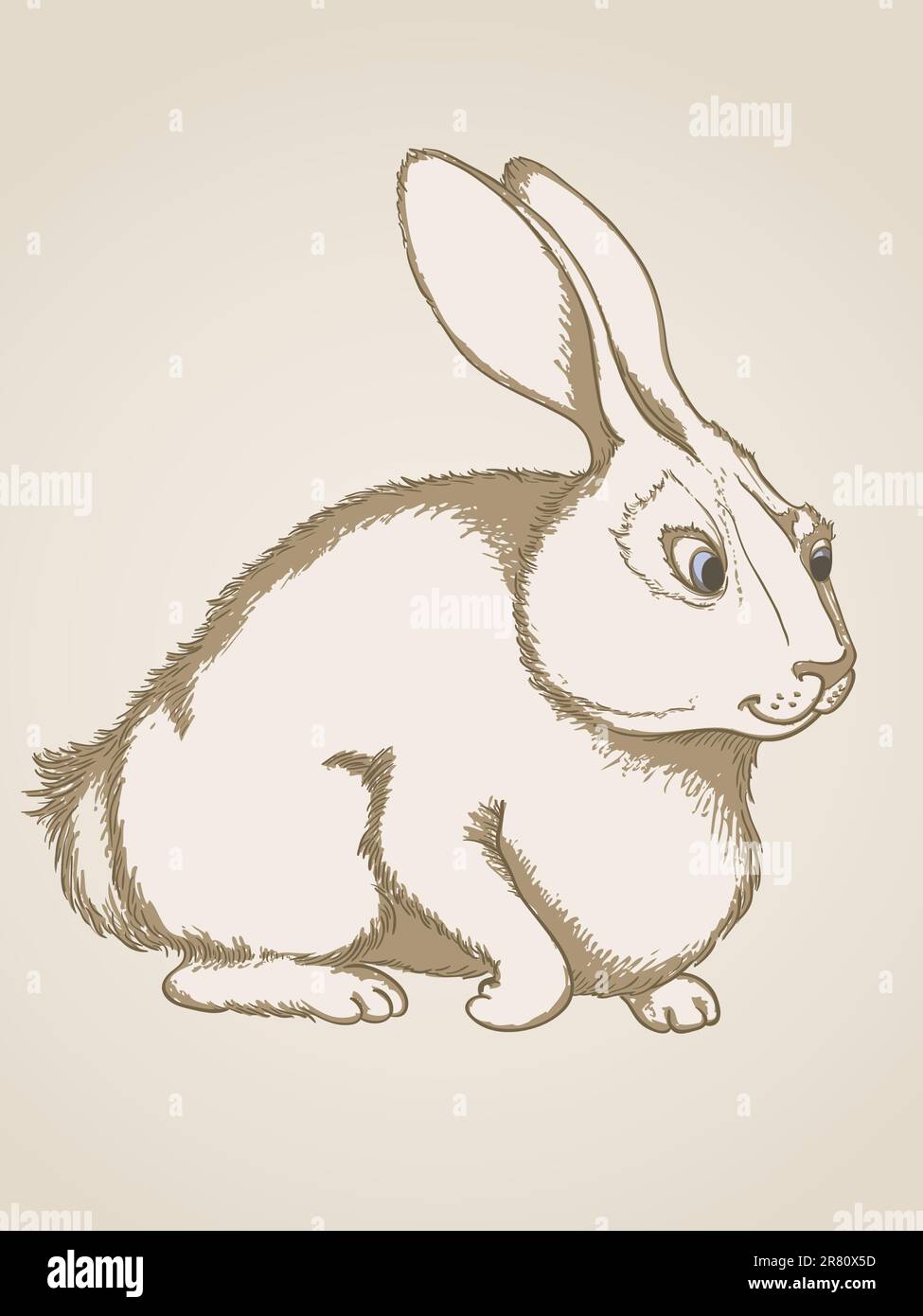 Vector vintage hand drawn rabbit Stock Vector Image & Art - Alamy