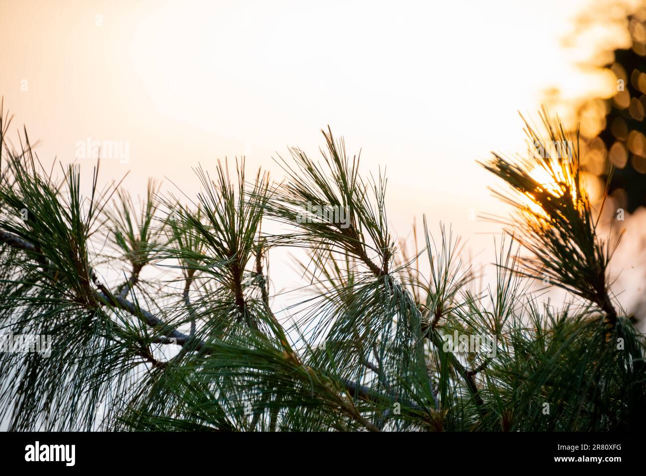 Beautiful sunset pakistan hi-res stock photography and images - Alamy