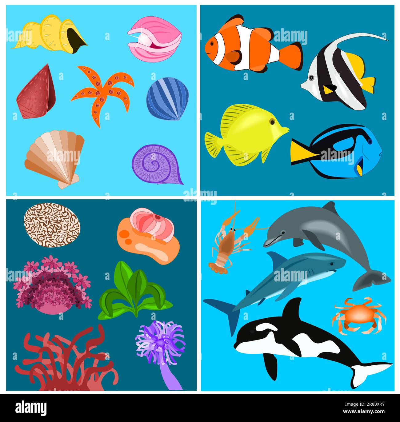 Illustration of different kind of sea animals and plants Stock Vector ... Illustration of different kind of sea animals and plants Stock Vector ...