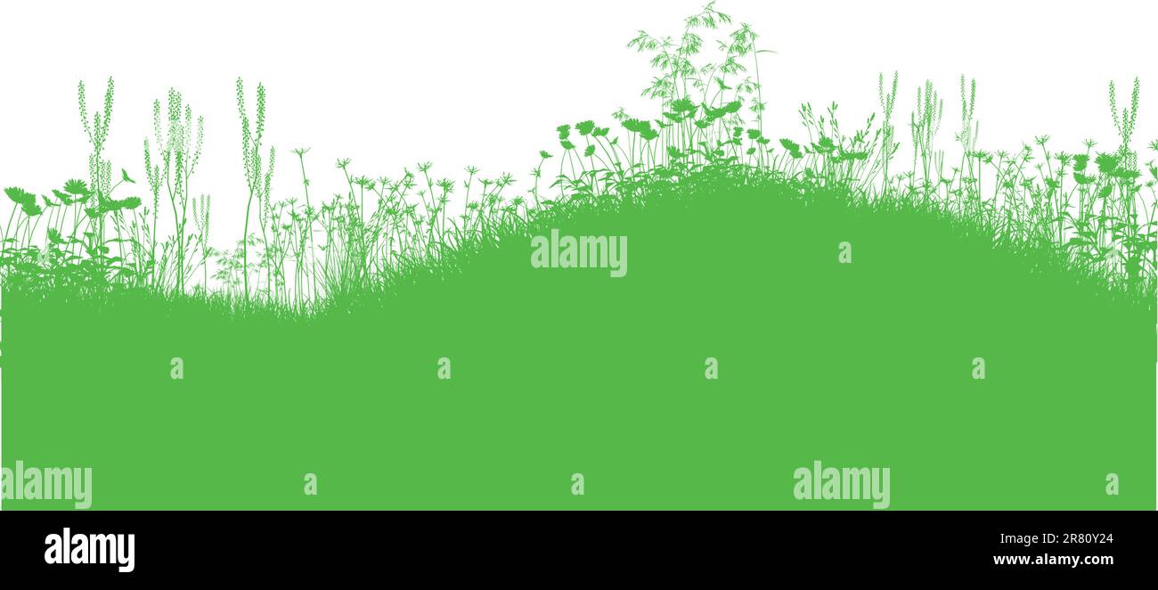 Nature background with silhouettes of grass, weeds and flowers Stock ...