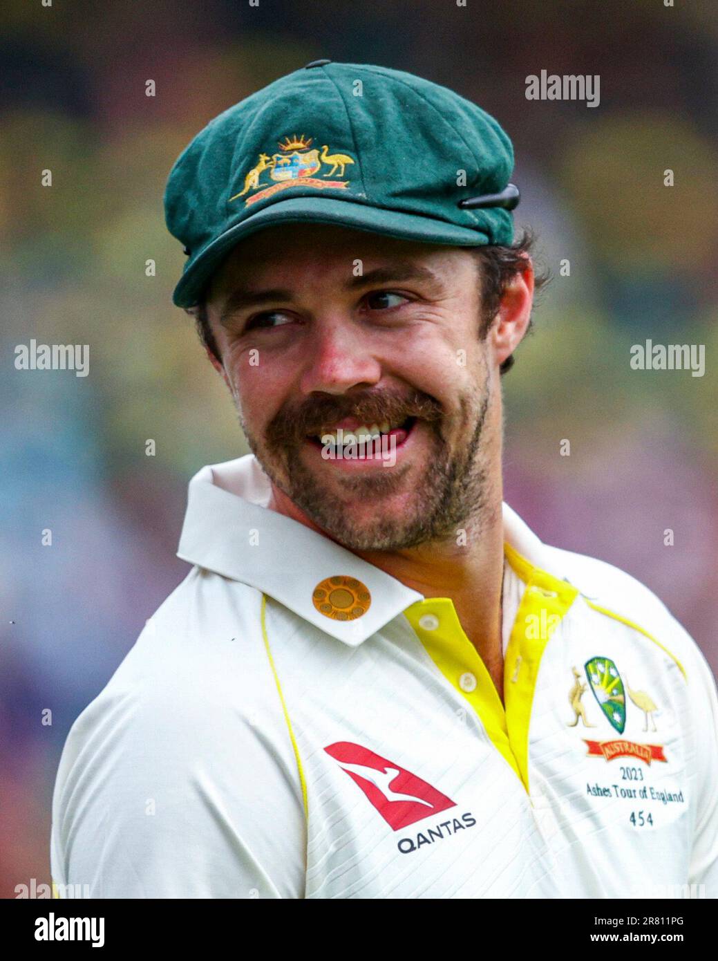 Hollies stand hi-res stock photography and images - Alamy