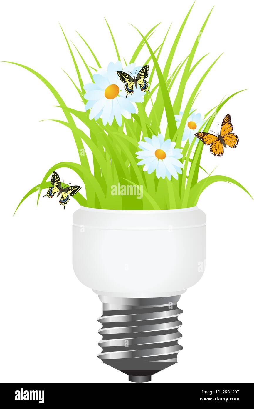 Light bulb with grass inside. Vector illustration, isolated on white ...