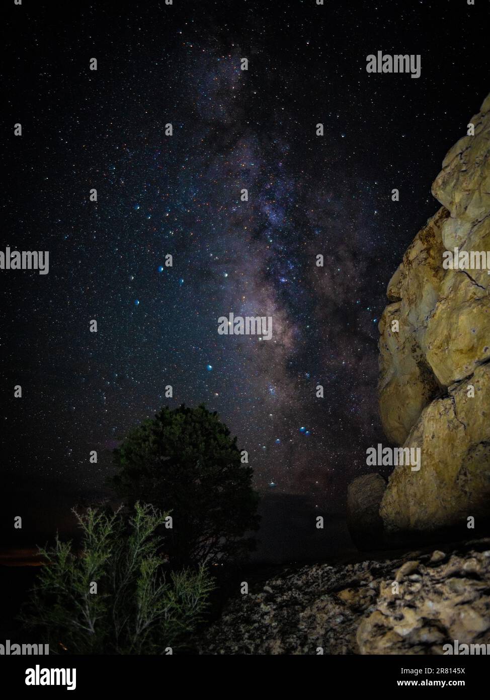 A breathtaking view of the night sky from a low-angle viewpoint in the ...
