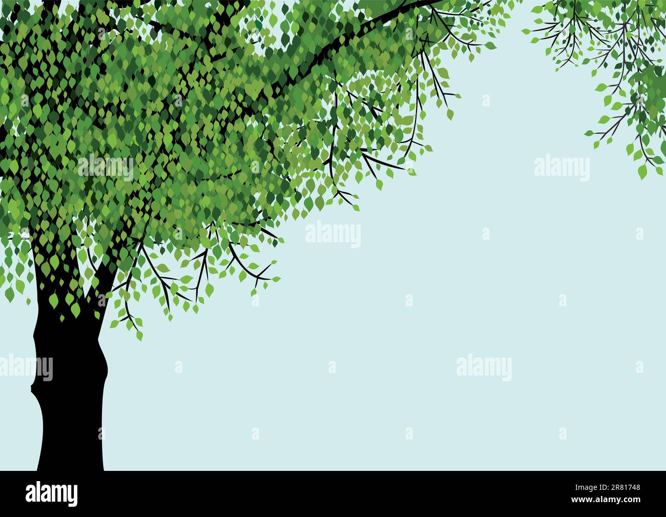 Tree isolated on blue sky background with space for your text. Full ...