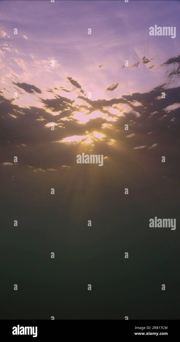 Evening sunlight creates beautiful veil, consisting of sunlight at ...