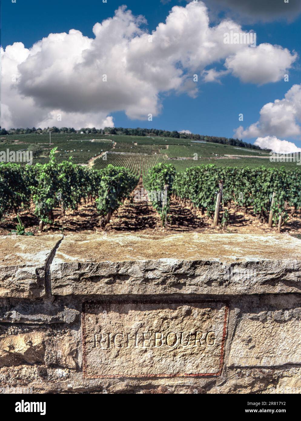 RICHEBOURG Engraved stone plaque in boundary wall of fine Grand Cru ...