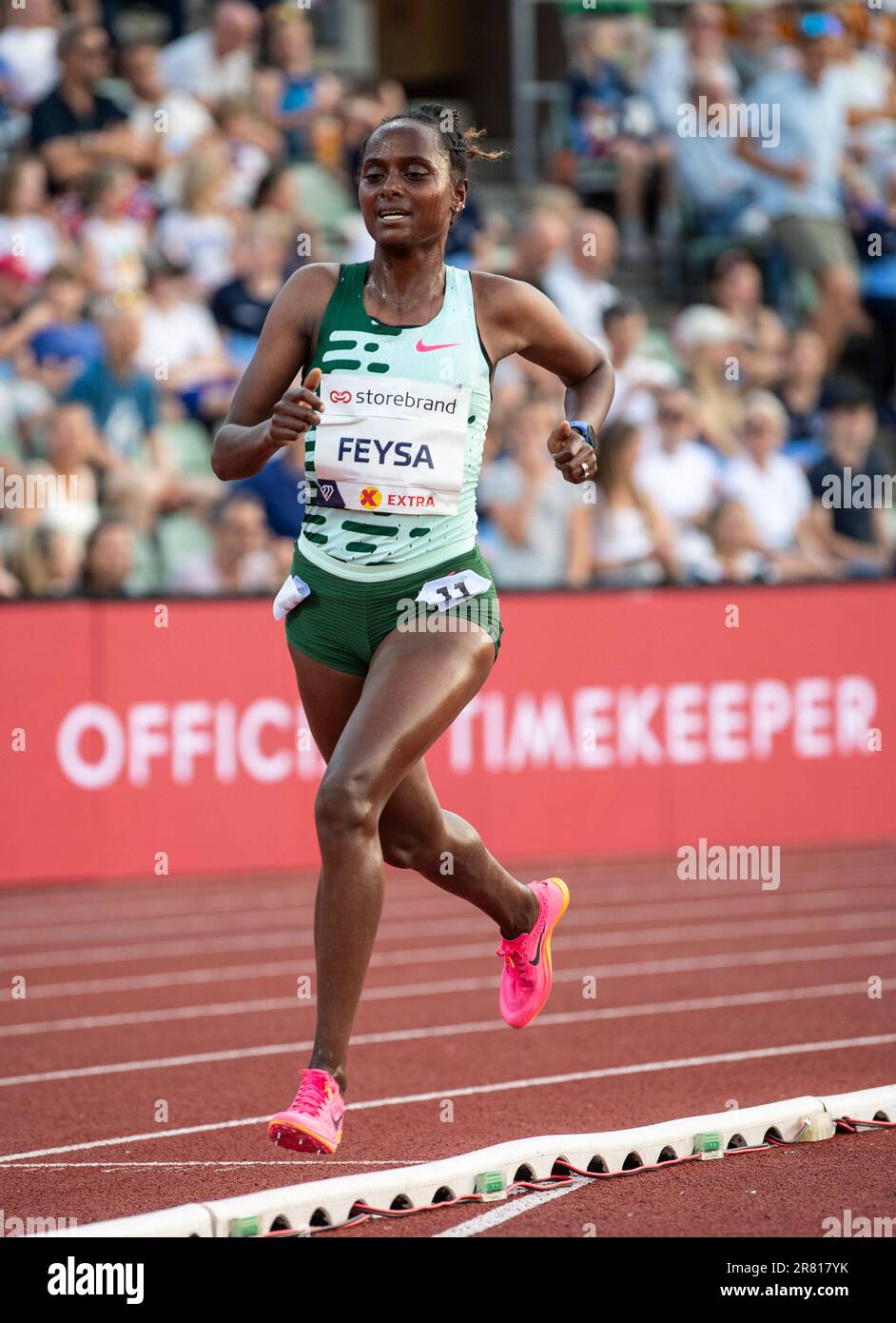 Hawi feysa hi-res stock photography and images - Alamy