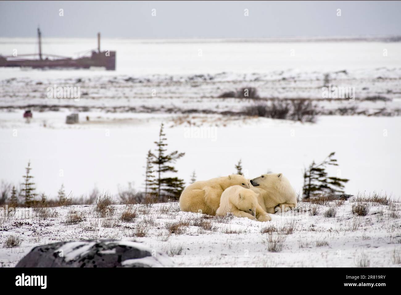 Ss ithaca churchill hi-res stock photography and images - Alamy