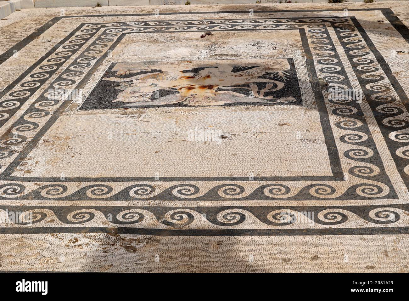 Floor mosaic in the ruins on the Cyclades island of Delos-Greece Stock ...