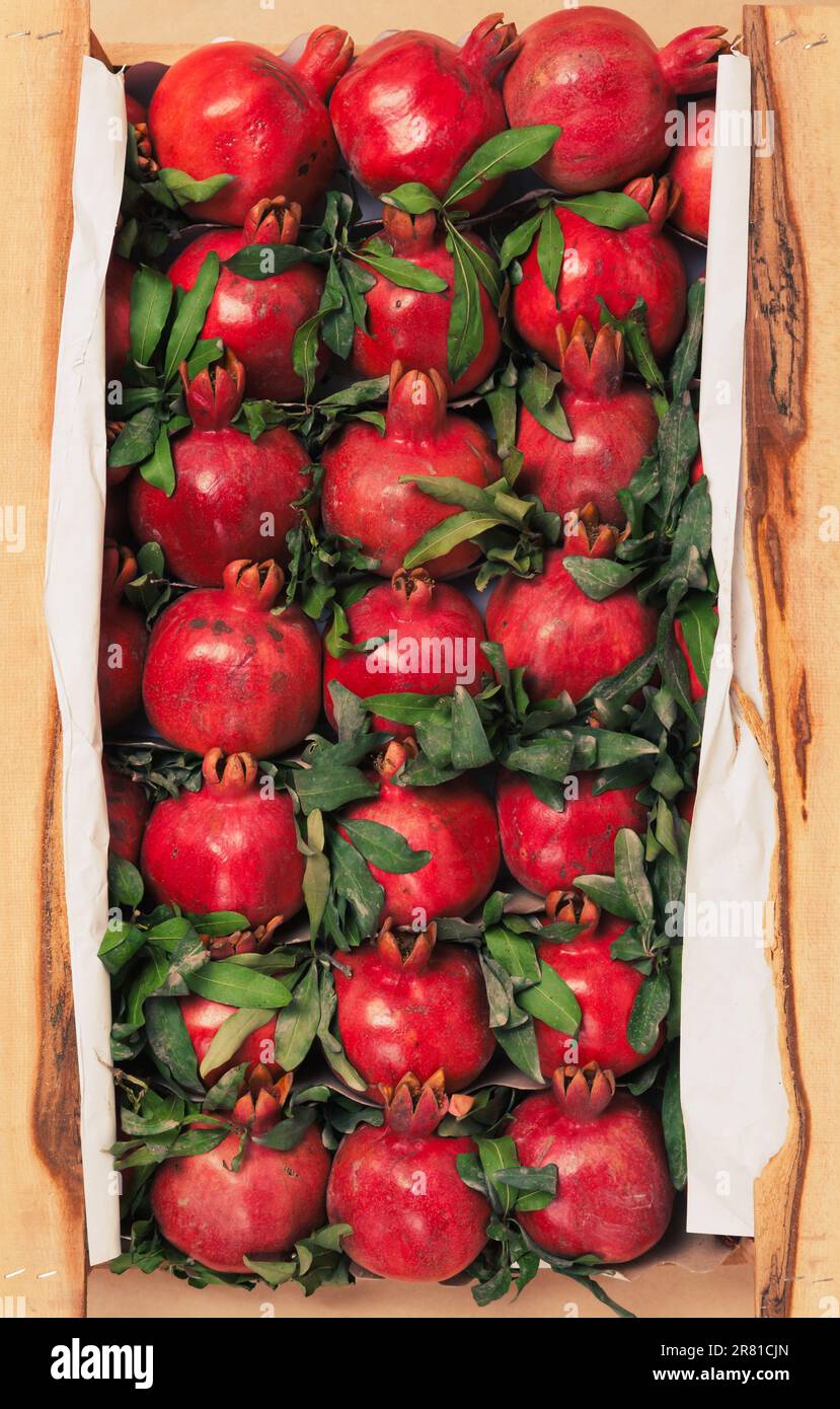 Wooden box with red grenades. Top view, close up. Fruit delivery Stock ...