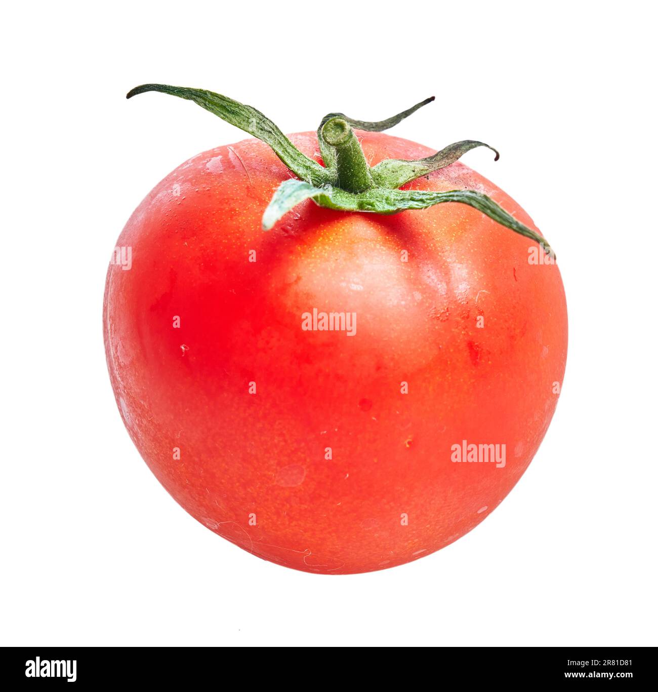 Delicious single tomato over isolated white background Stock Photo - Alamy