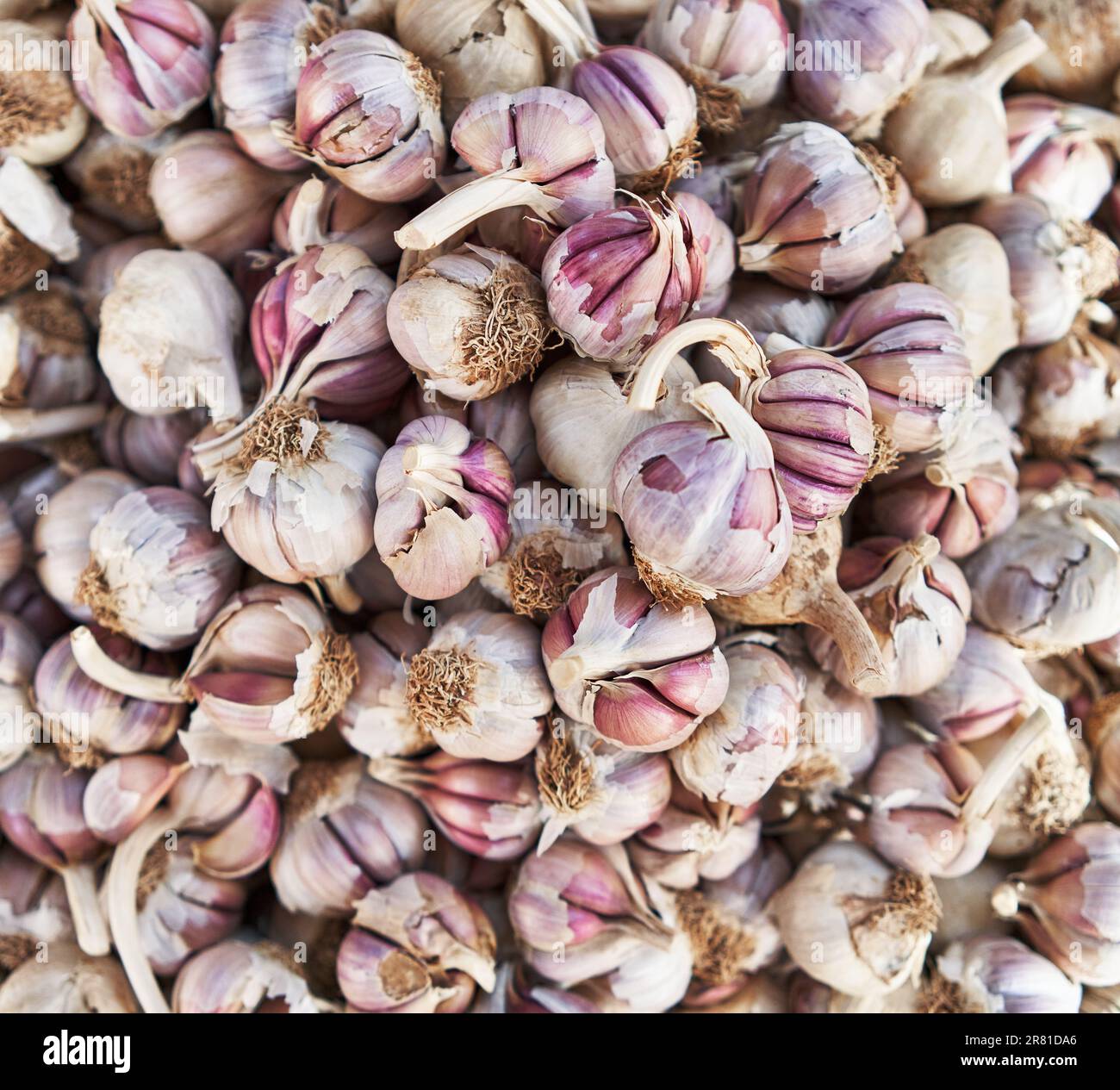 Delicious group of garlic texture Stock Photo - Alamy