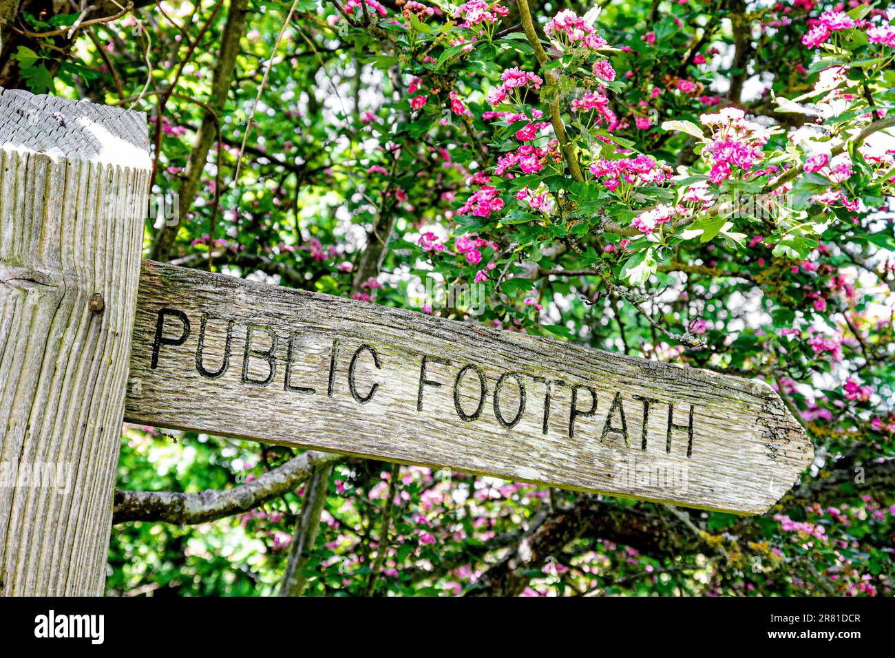 PUBLIC FOOTPATH wooden sign denoting public right of way. Route of ... PUBLIC FOOTPATH wooden sign denoting public right of way. Route of ...