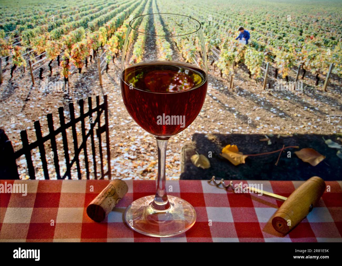 French red wine tasting glass on alfresco picnic table hi-res stock ...