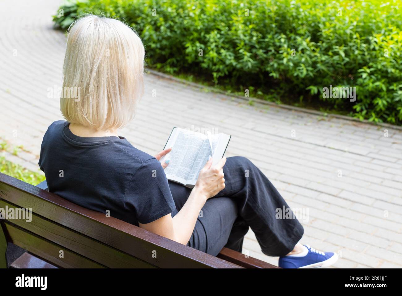 woman reading the bible sitting on a bench. woman reading the bible on ...