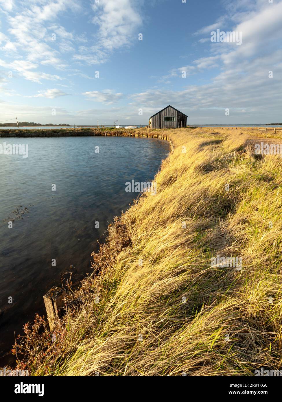 Harmony at the Water's Edge: A charming boat shed nestled amidst lush ...