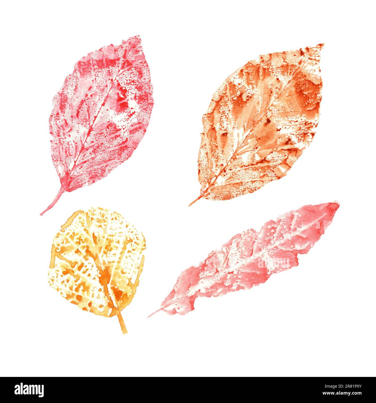 Imprints of autumn leaves in orange, yellow, pink colors isolated on ...