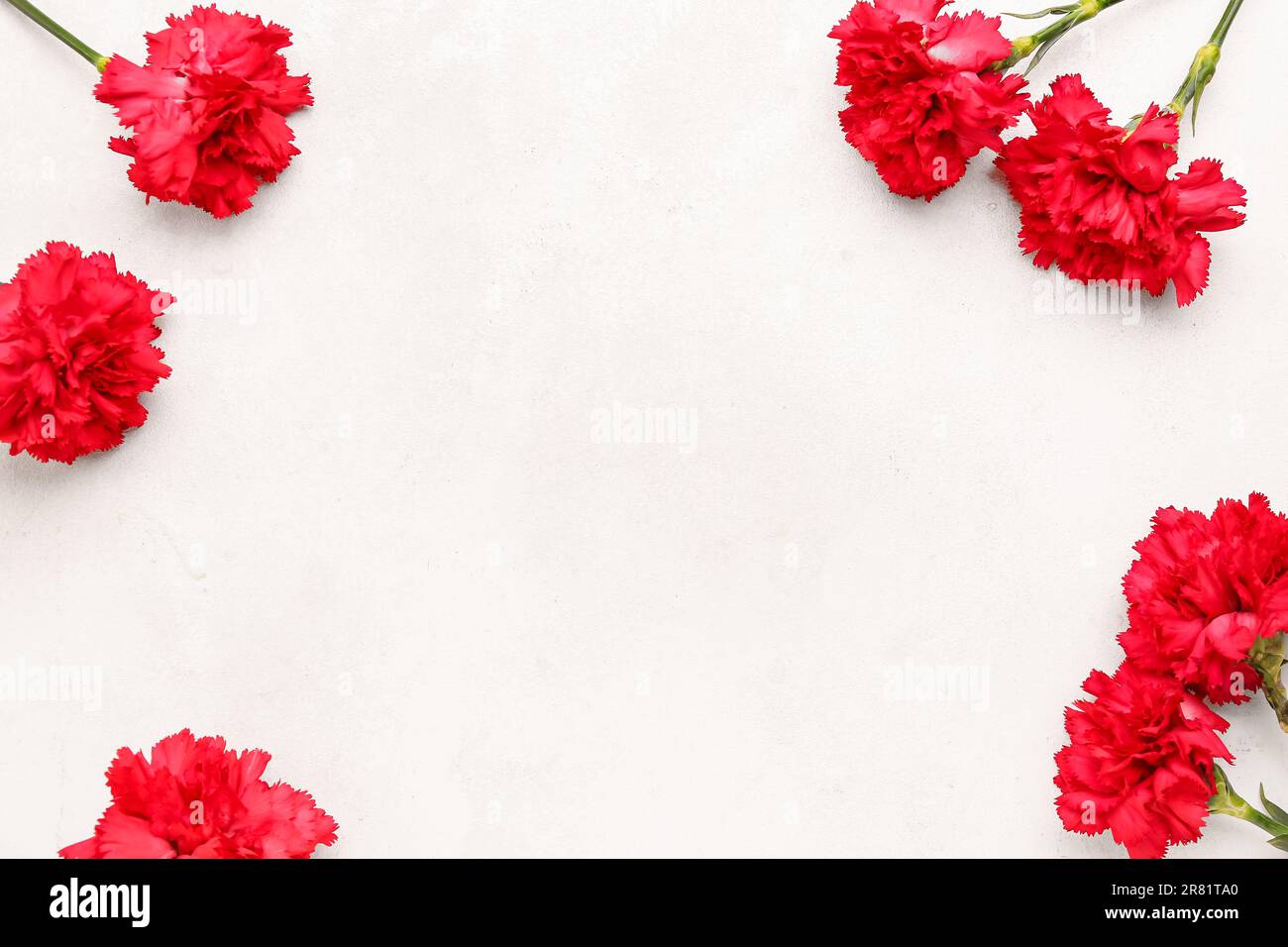 Frame made of red carnations on light background Stock Photo - Alamy
