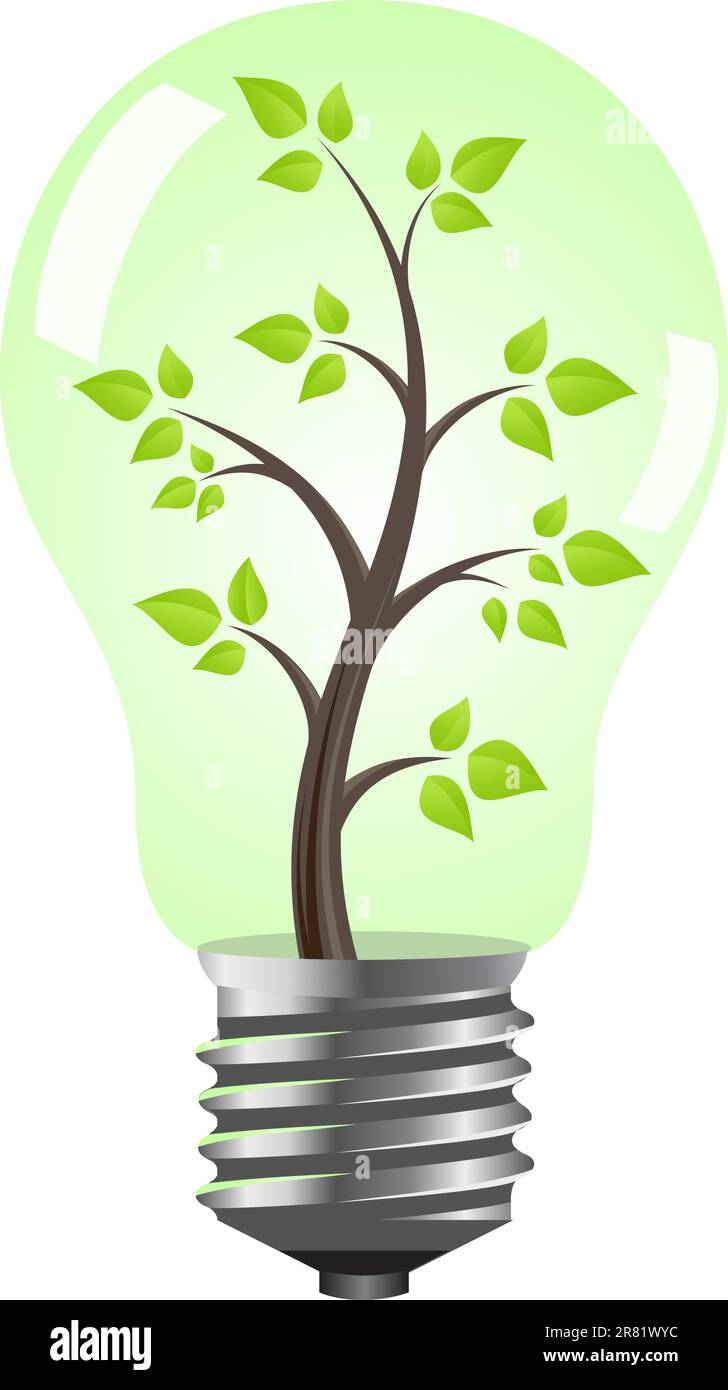Light bulb with tree inside. Vector illustration, isolated on white ...