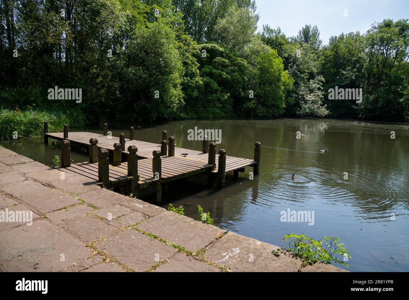 Reddish Vale country park, Stockport, Greater Manchester, England Stock ...