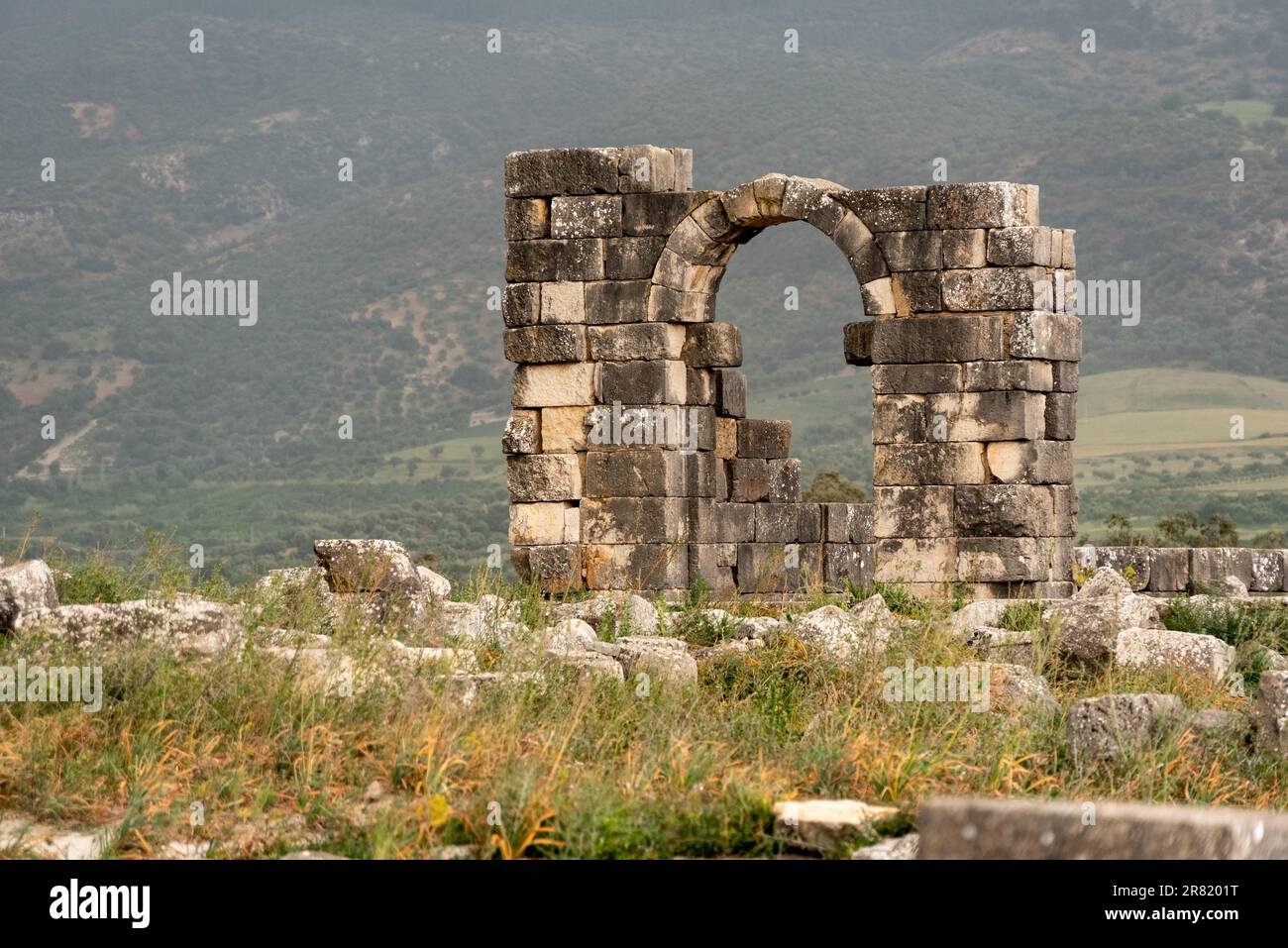 Ancient roman column overgrown hi-res stock photography and images - Alamy