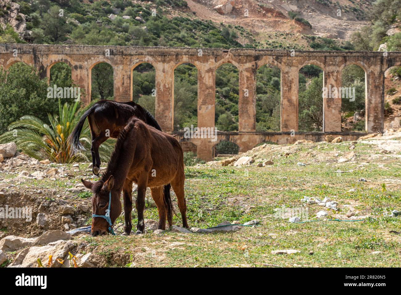 Ancient Haroune aqueduct near the archeological Roman city of Volubilis ...